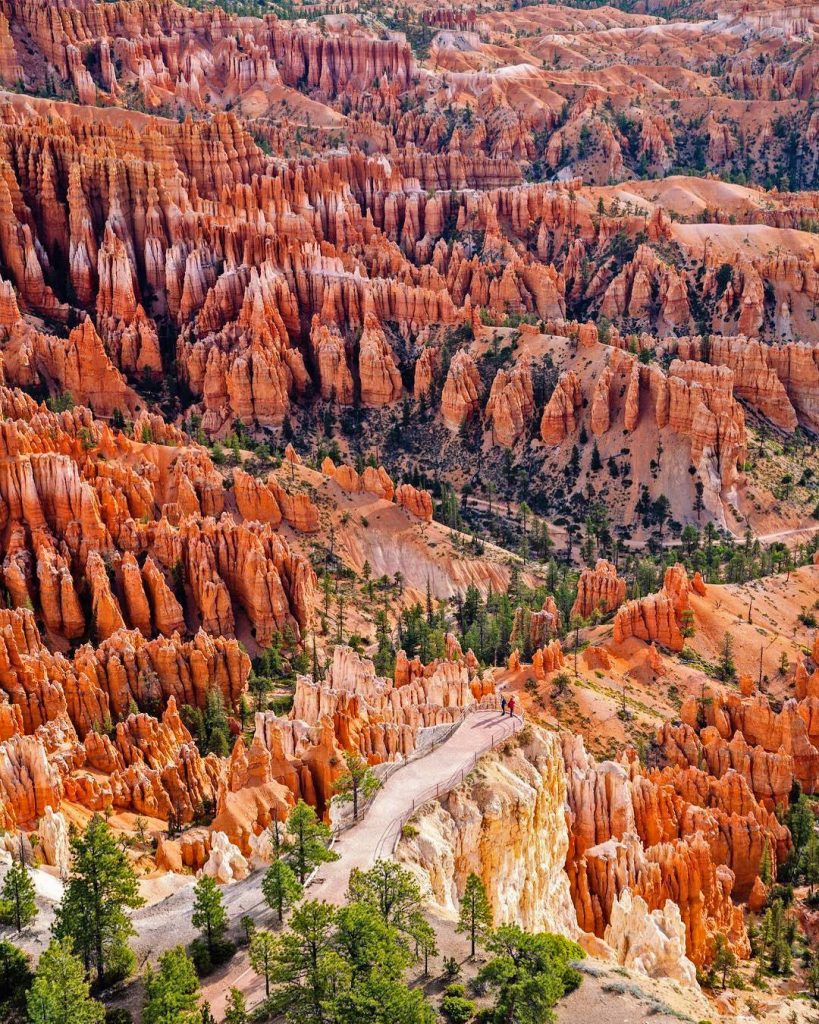 Welcome to Camp Sarika at Amangiri - A Travel & Lifestyle Websit