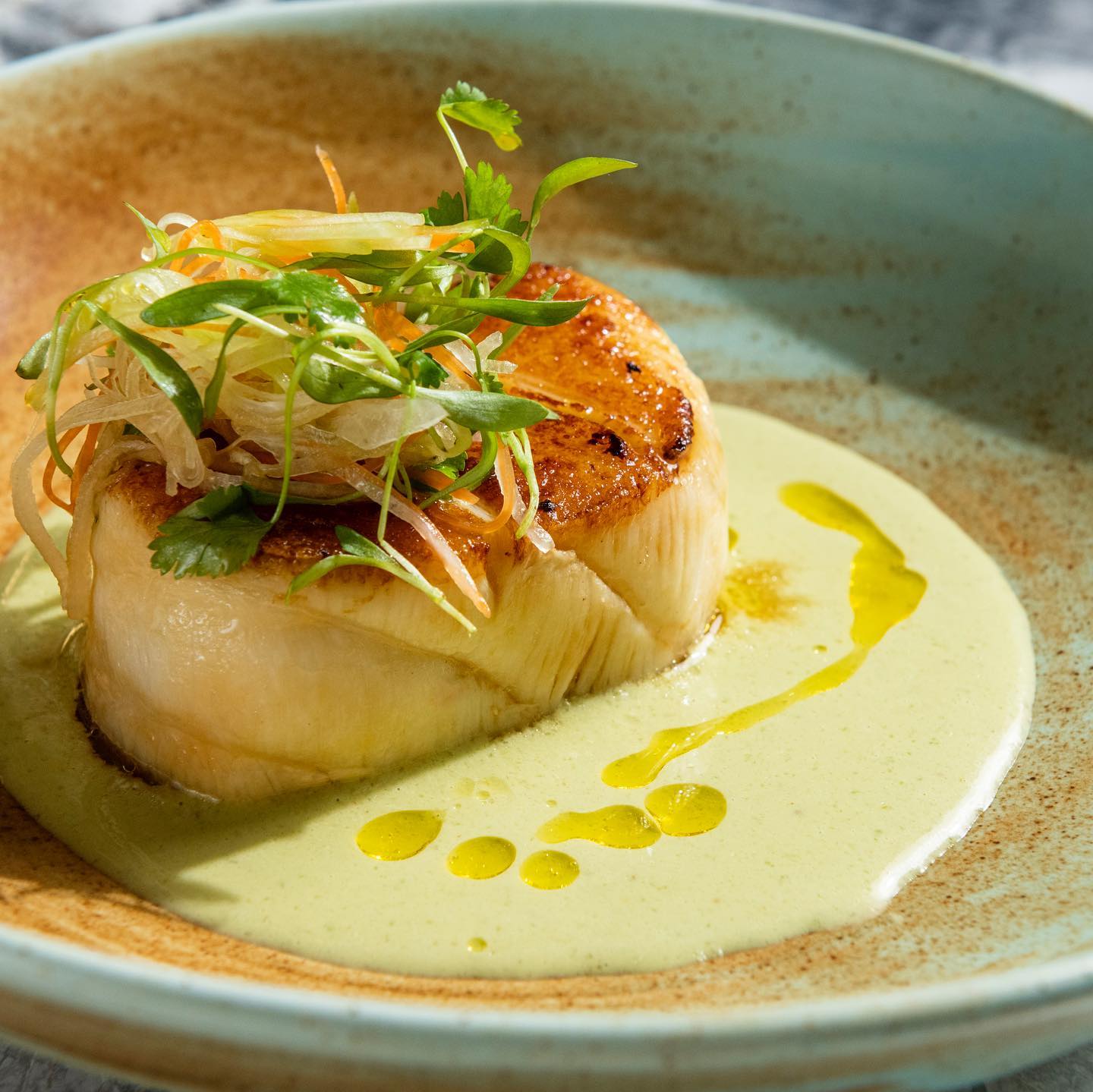 The Review: Mollusca NYC - Galavante (Travel & Lifestyle Website