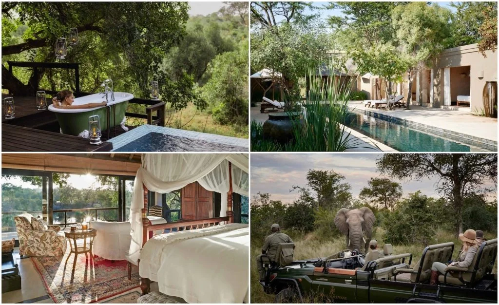 The Best Safari Camps and Lodges in South Africa