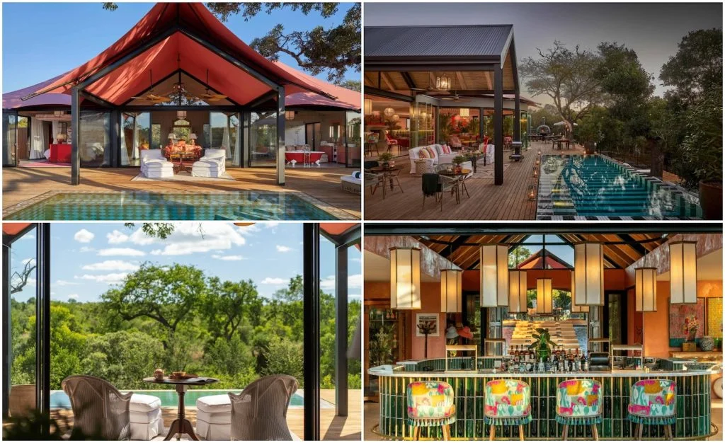 The Best Safari Camps and Lodges in South Africa
